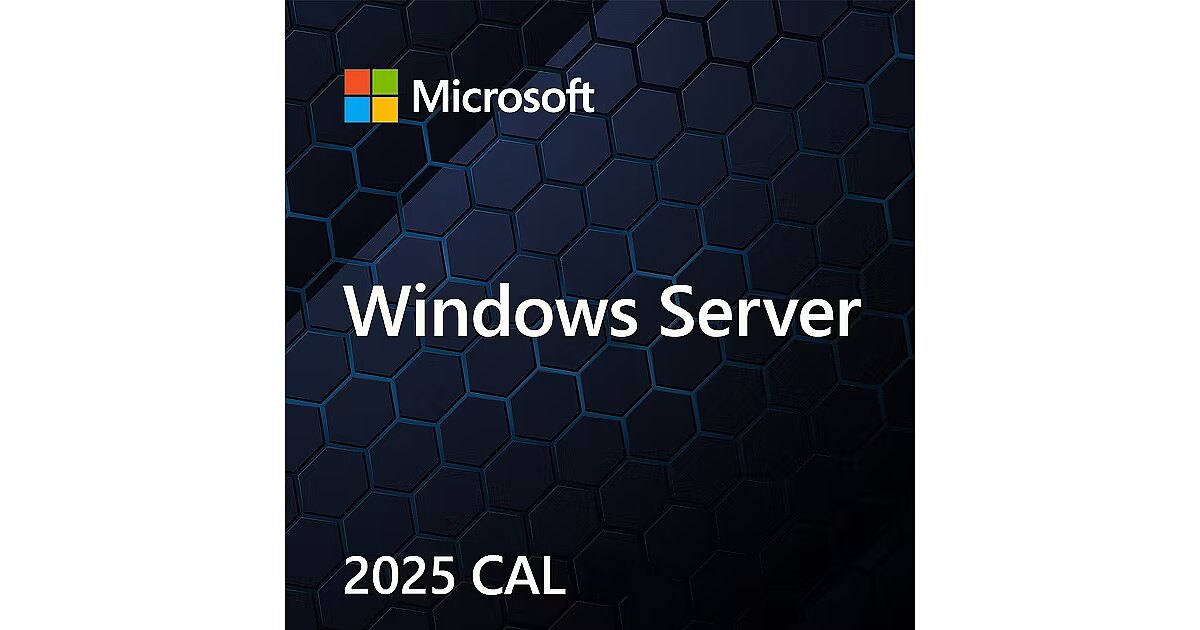 Microsoft MS Windows Svr CAL 2025 PL Clt Device CAL OEM (EP2-25250)